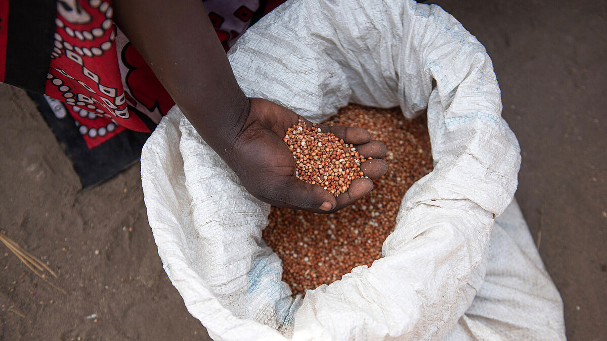 Gemeinsamer Appell: Mehr Geld für Kampf gegen Hunger | Plan ...