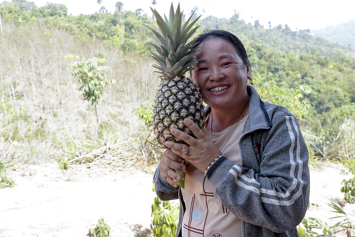 Ananas-Anbau in Laos: Die Nebensaison nutzen | Plan Post Magazin